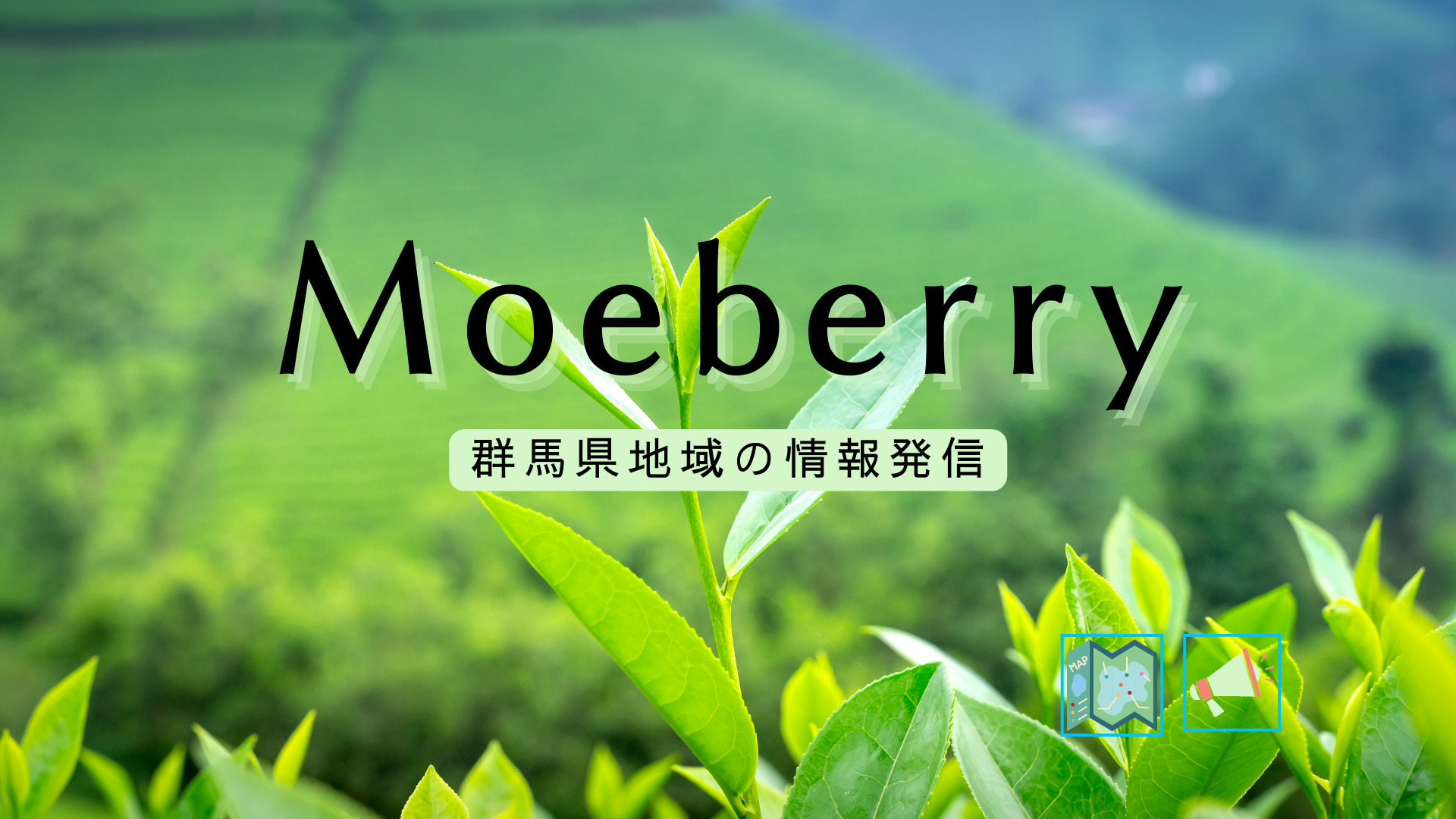 Moeberryが萌える日々を綴るブログ！